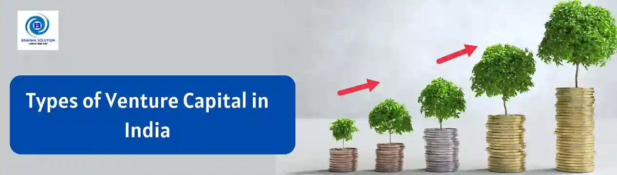 Types of Venture Capital in India | Complete Guide for Startups